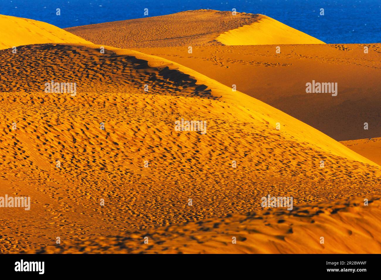 Coastal dune with golden sand . Spectacular sandy landscape Stock Photo ...