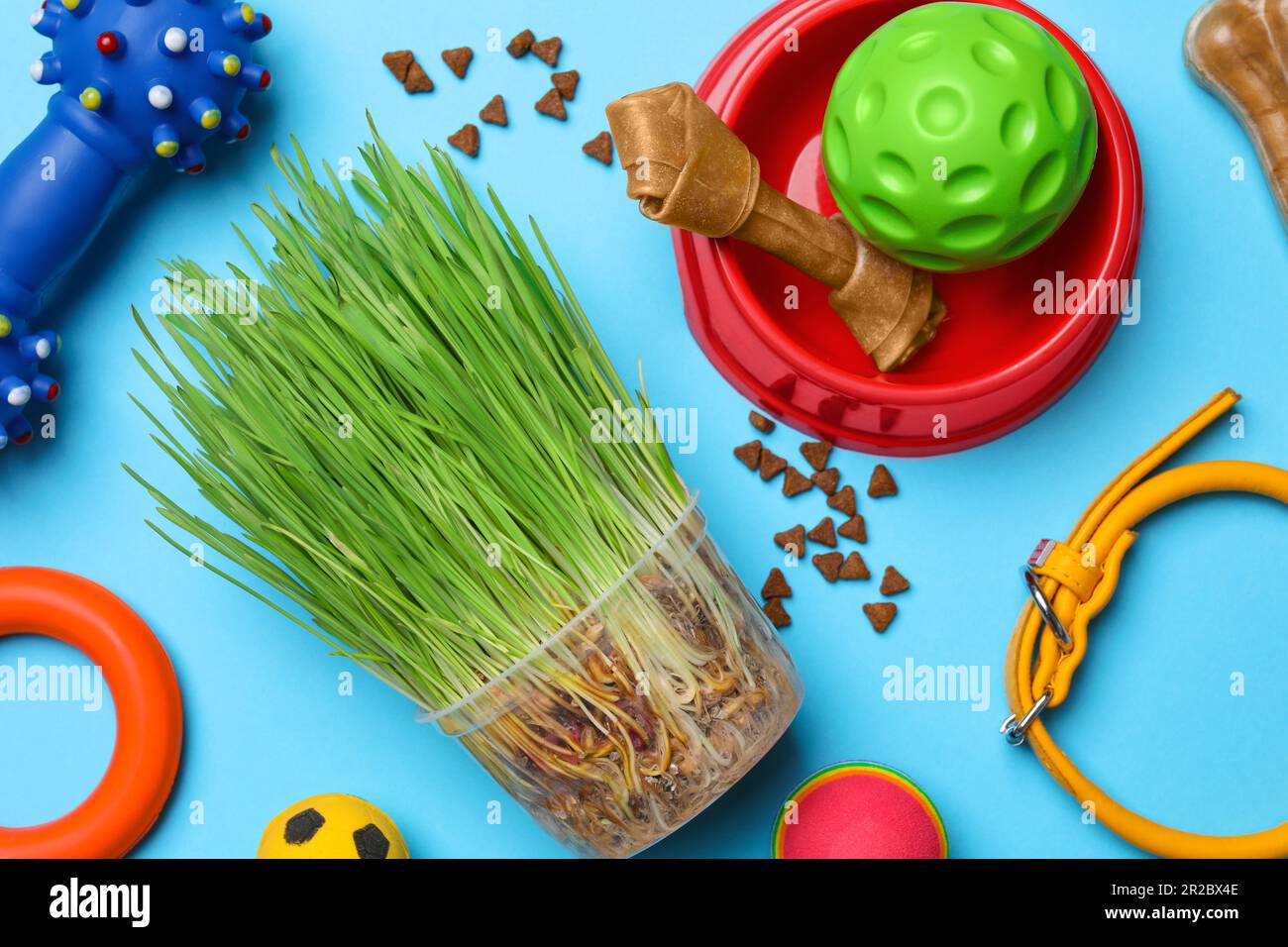 Flat lay composition with pet toys, food and accessories on light blue ...