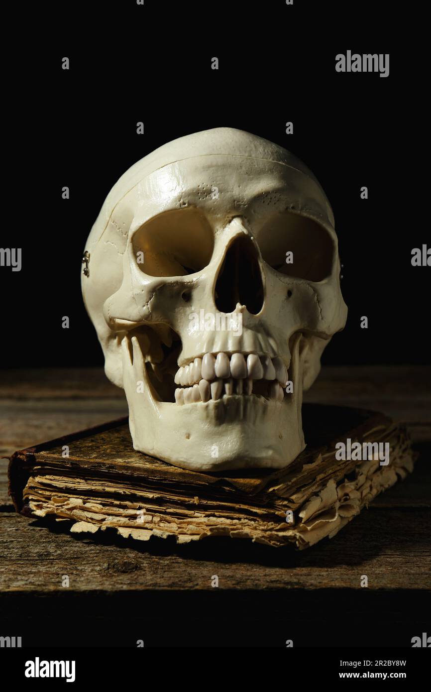 Vintage color table anatomy hi-res stock photography and images - Alamy