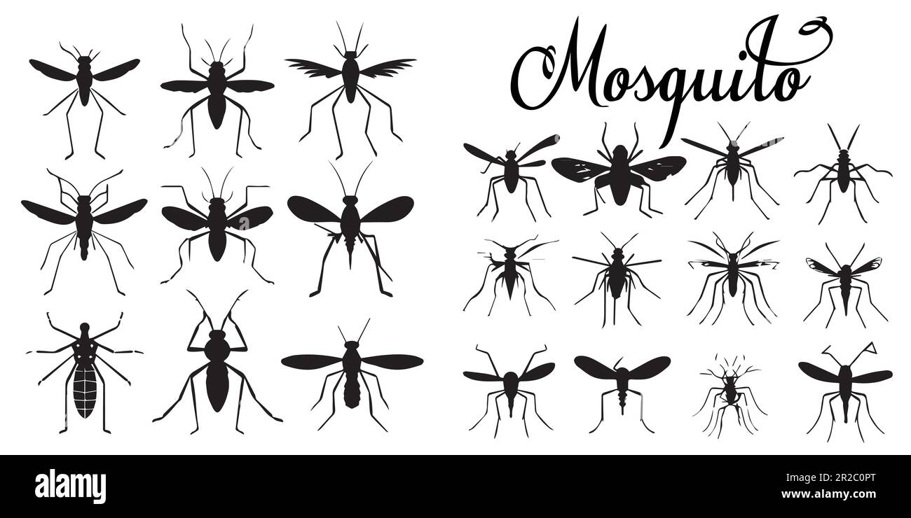 Mosquitos cartoon Stock Vector Images - Alamy