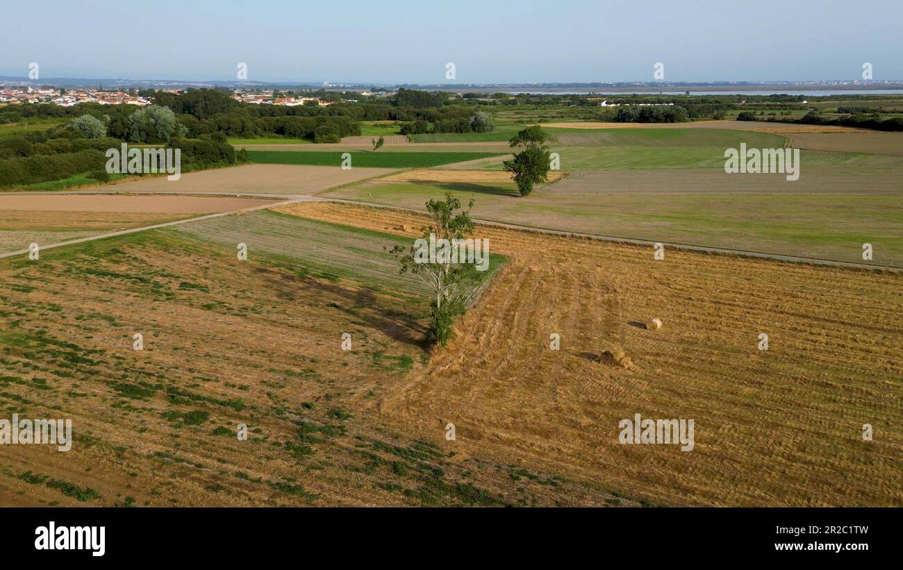 Aerial View of rural landscape near the Aveiro Lagoon at Murtosa ...