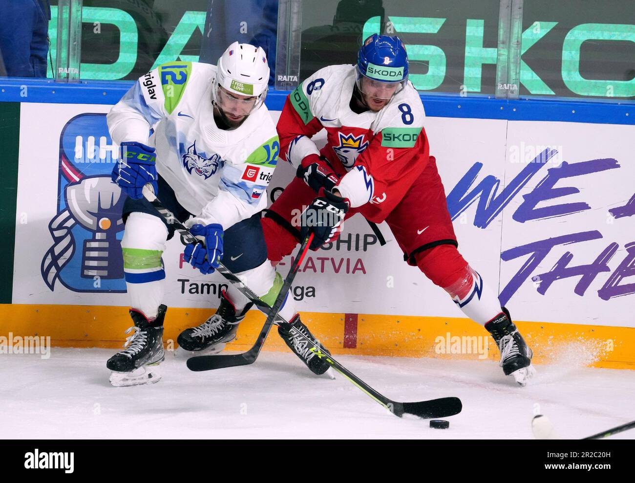 Simsic hi-res stock photography and images - Alamy