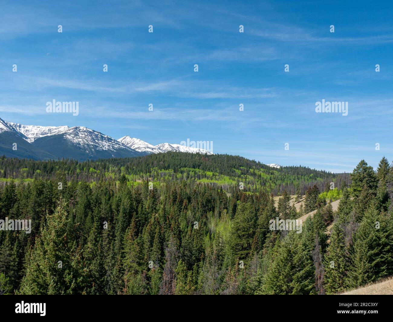 jasper national park, alberta, canada Stock Photo - Alamy
