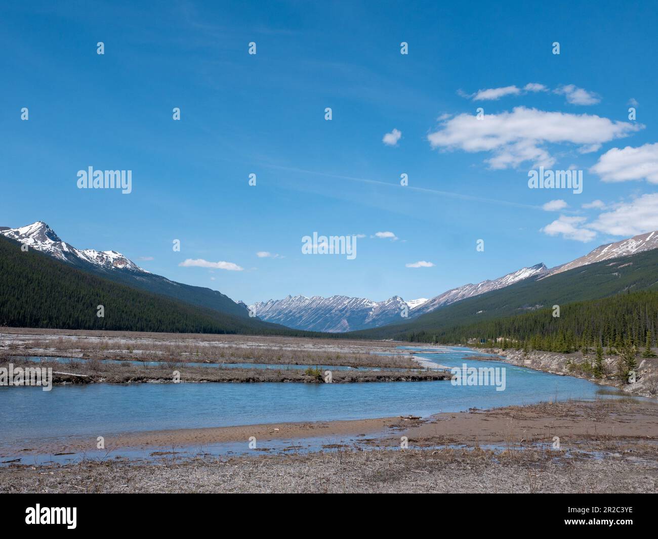 athabasca river, alberta, canada Stock Photo - Alamy