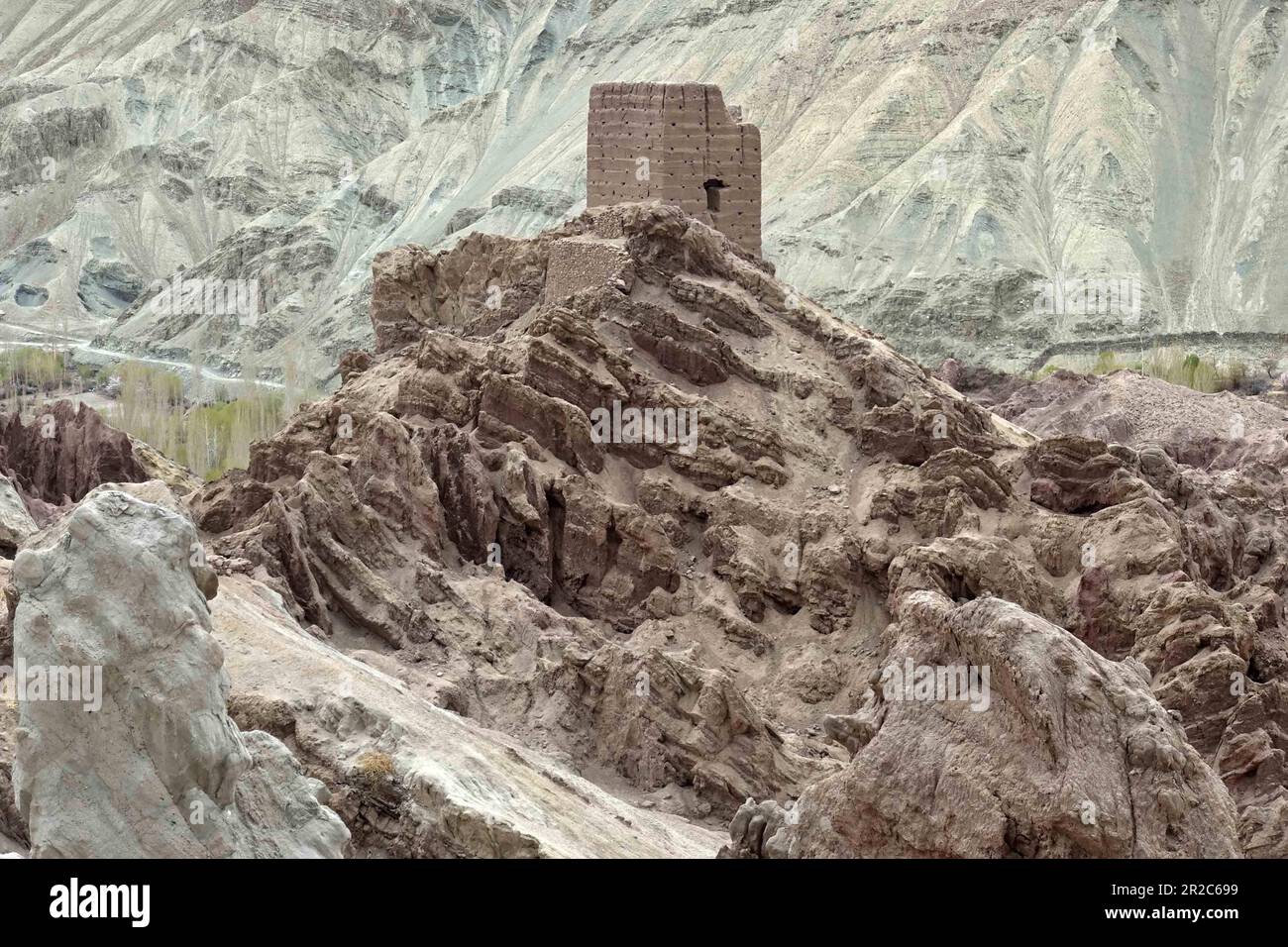 Basco Palace Ruins in Ladakh, India Stock Photo - Alamy