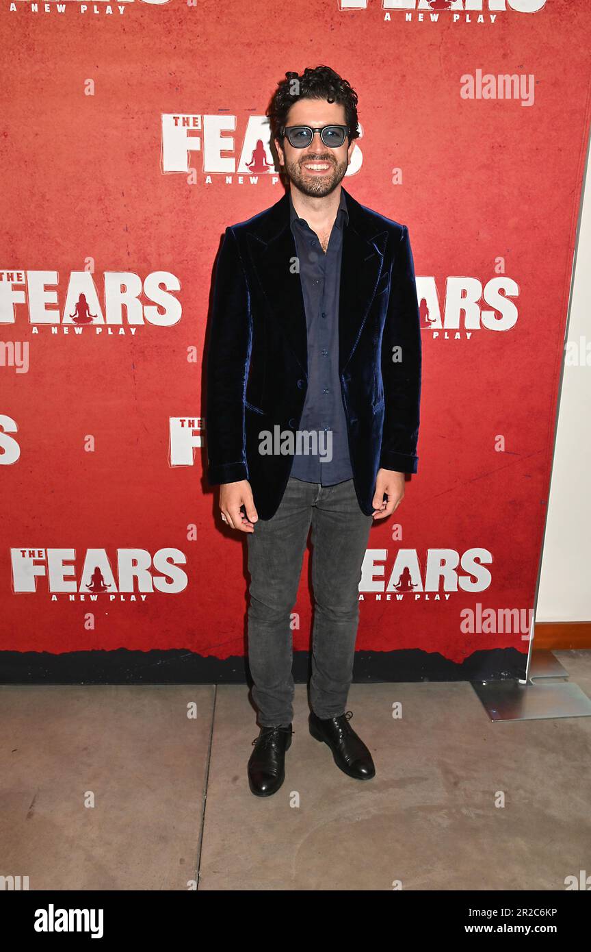 Beejan Land attends "The Fears" Off Broadway Opening at The Irene ...