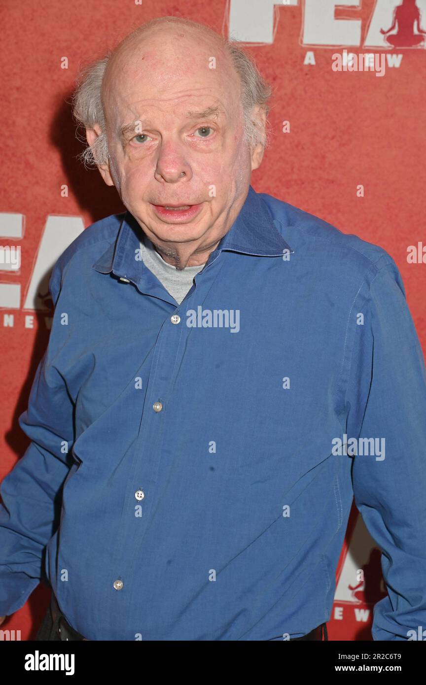 Wallace Shawn attends "The Fears" Off Broadway Opening at The Irene ...