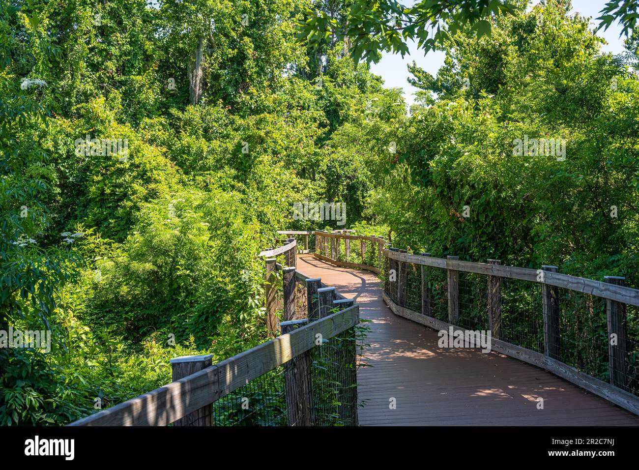 Scenic and verdant Healthy West Orange Boardwalk trail leading to Lake ...