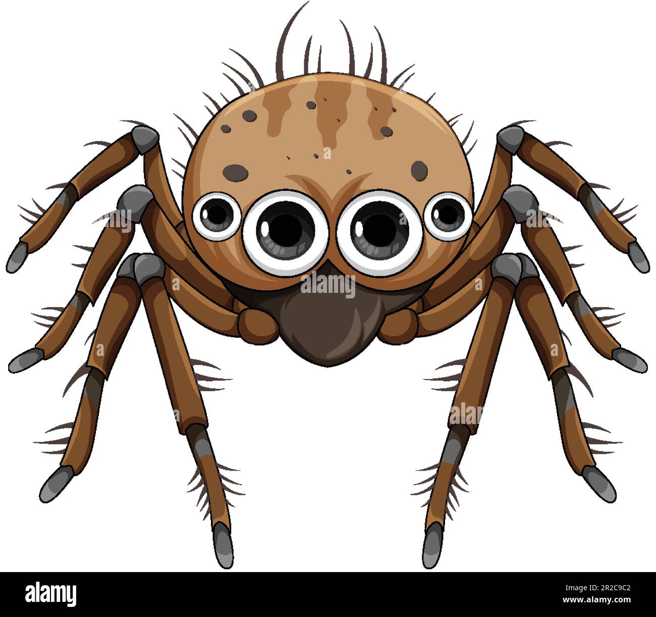 Brown spider cartoon isolated illustration Stock Vector Image & Art - Alamy