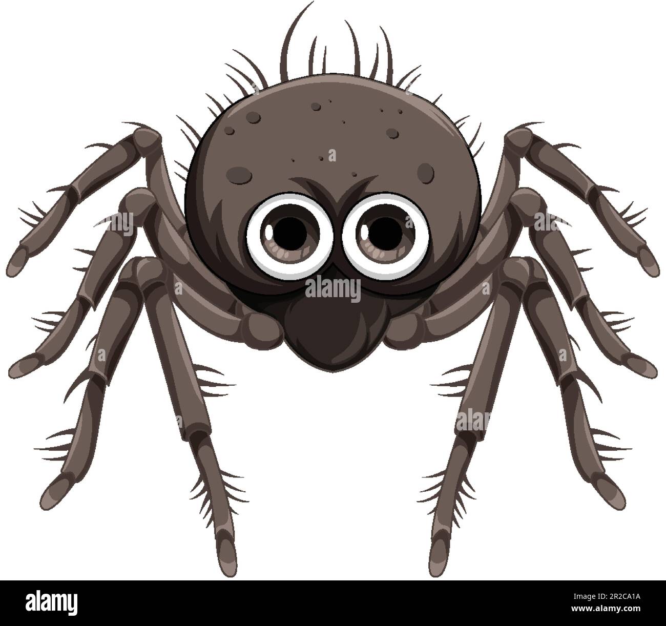 Black spider cartoon isolated illustration Stock Vector Image & Art - Alamy