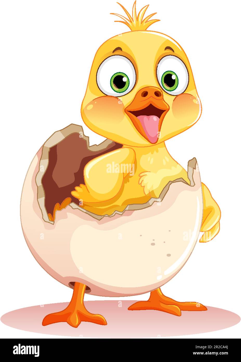 Little Duck Hatching from Egg illustration Stock Vector Image & Art - Alamy