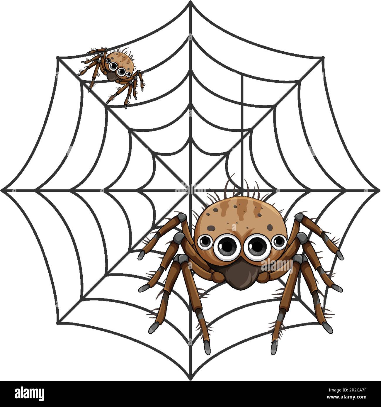 Spider on spider web cartoon isolated illustration Stock Vector Image ...