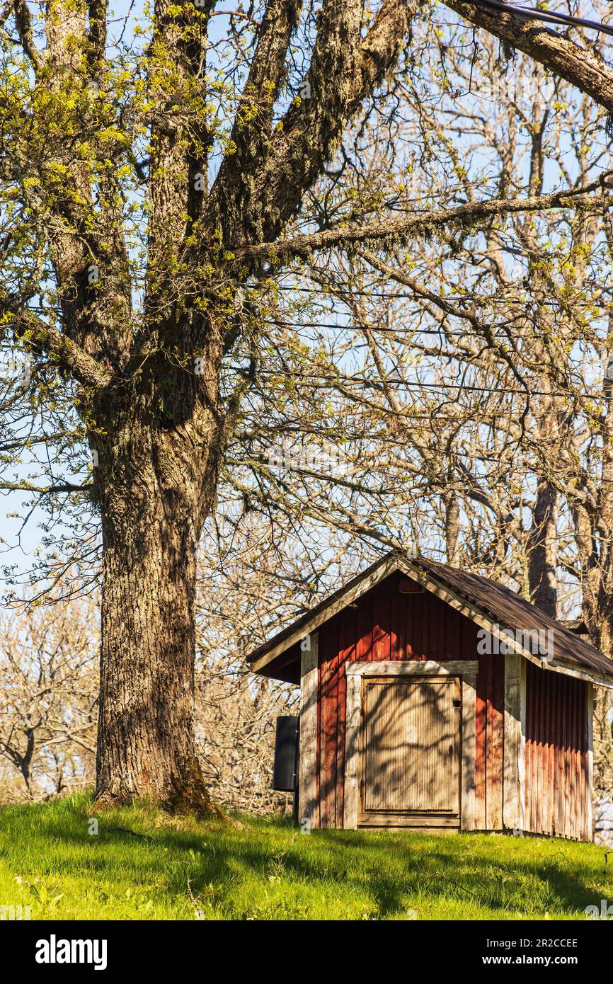 Nordic red painted traditional shed building on Seili island in Finland ...