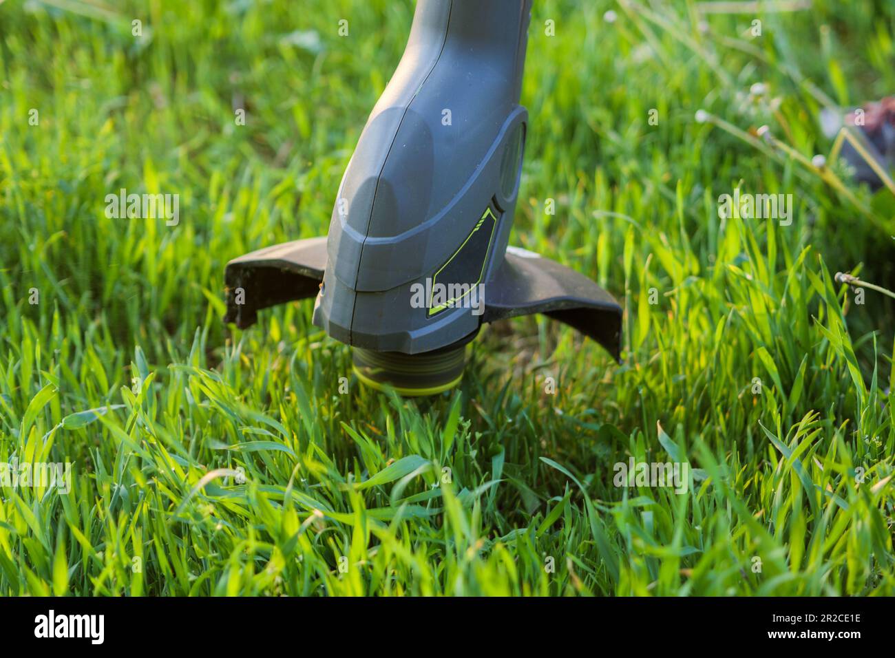 Lawn trimmer in the process of work. Close-up of a the working part of ...