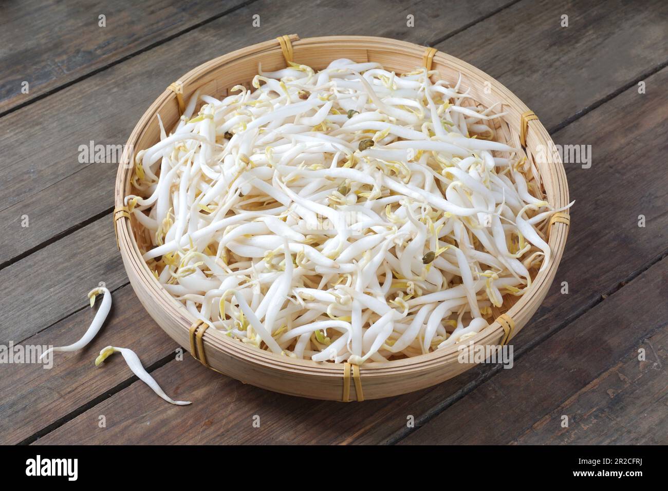 A pile of fresh bean sprouts, or taugeh from mung beans. Made from ...