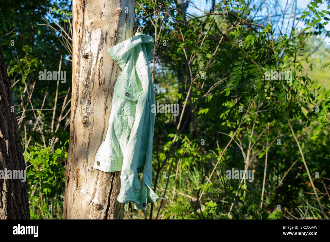 female jacket hanging on a nail on a tree in the forest in the sun ...