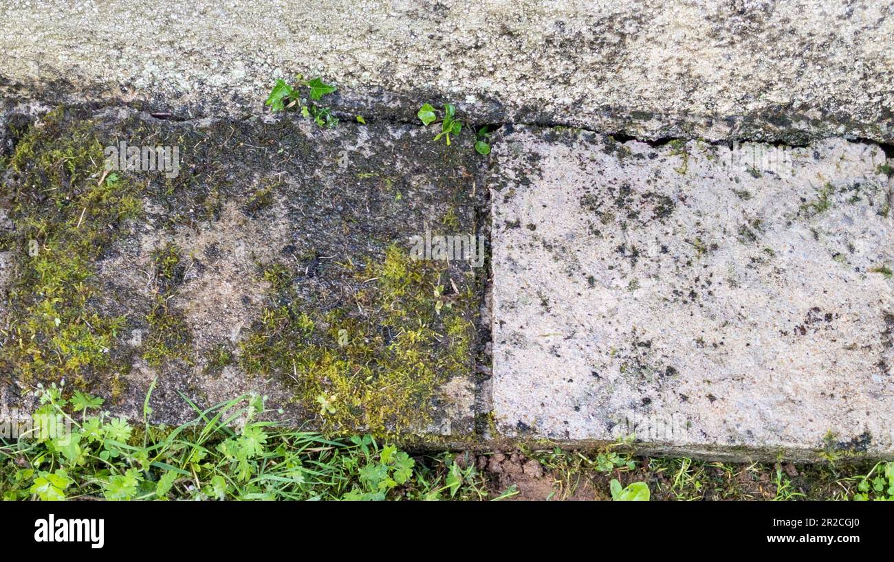 Contrast between dirt old auto block slab paving slabs floor dirty ...