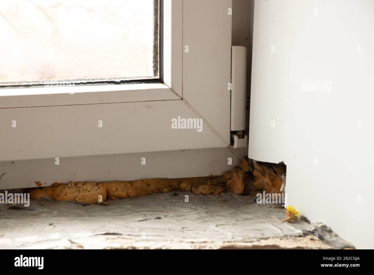 repair of the slope on the window, fungus on the window, window in the ...