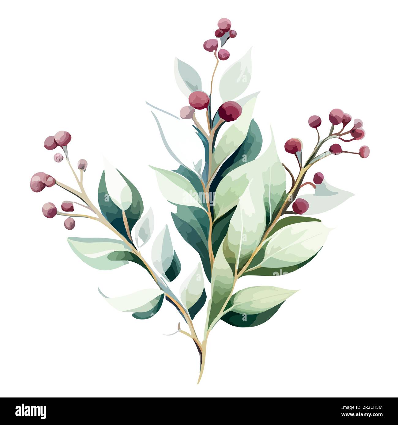 Australian wildflowers Stock Vector Images - Alamy