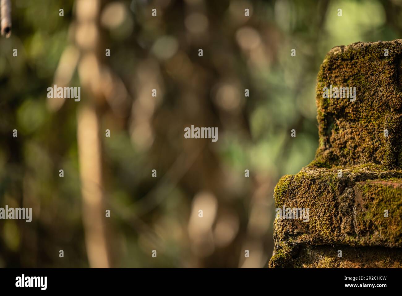 Close up wall surface level, exterior wall modern design. Interior ...