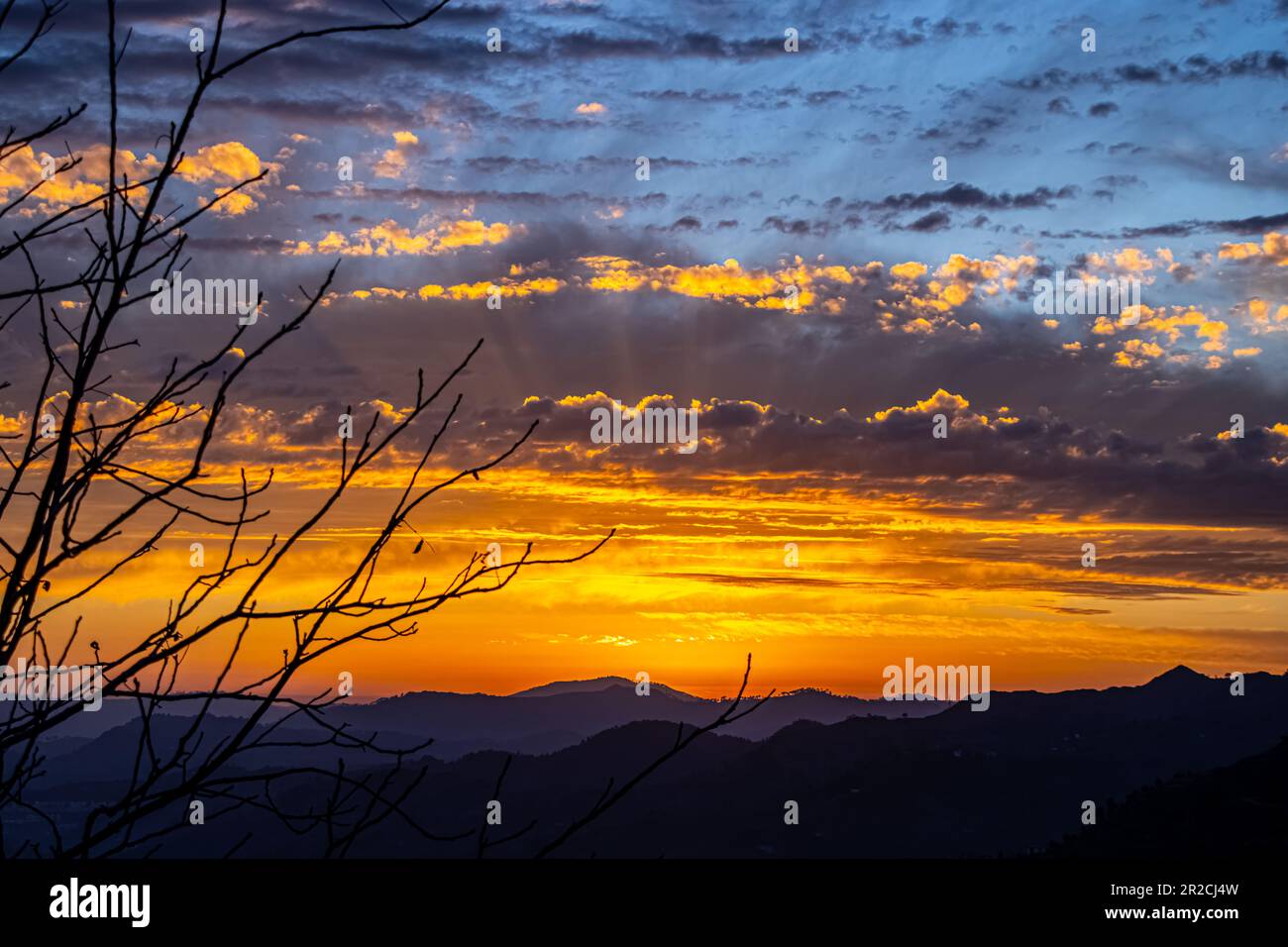 Autumn tree against Panorama colorful magnificent sunset in countryside ...