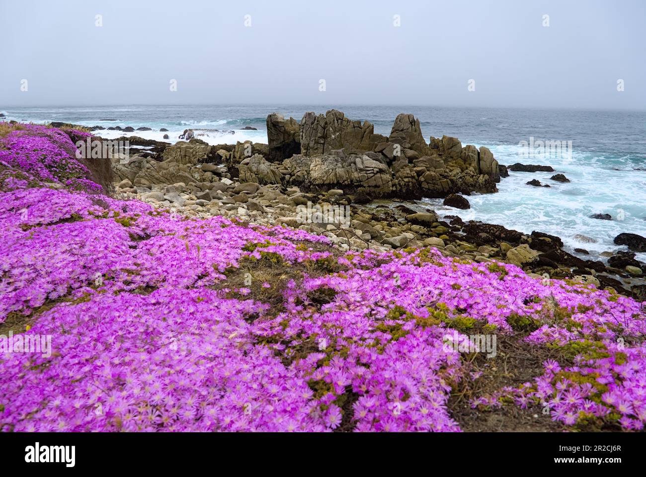 Pacifica grove hi-res stock photography and images - Alamy