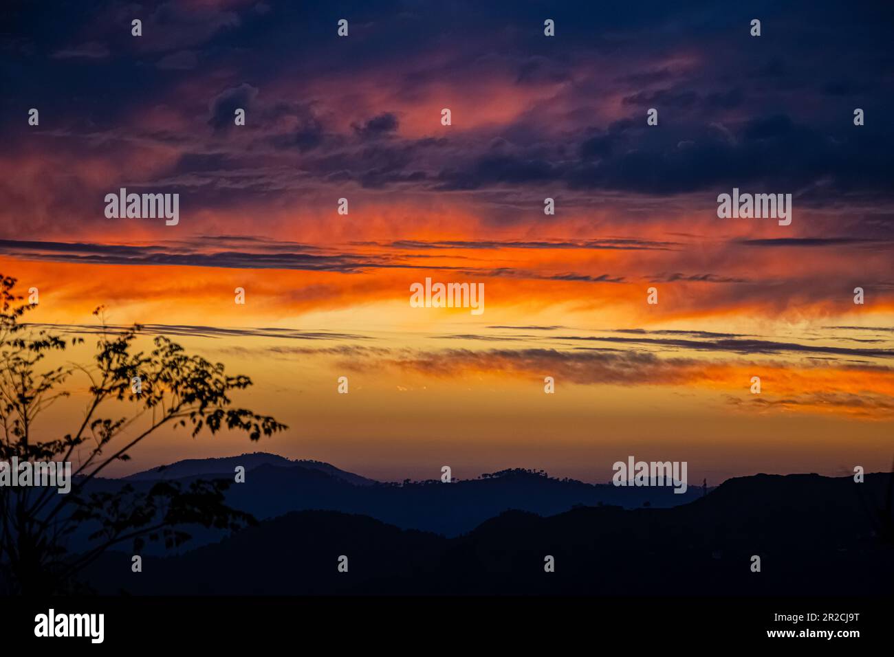 Autumn tree against Panorama colorful magnificent sunset in countryside ...