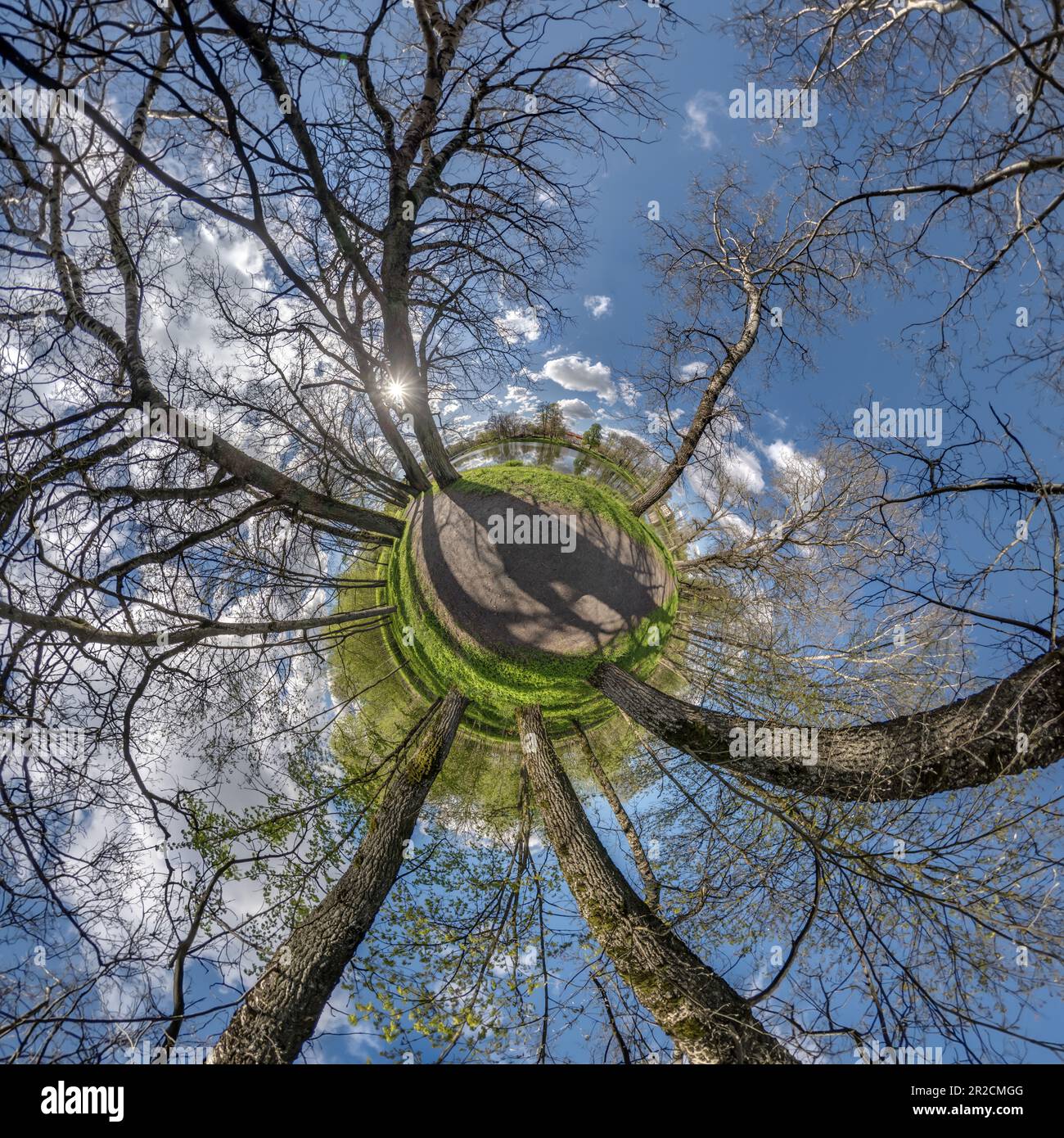 Spherical abstract aerial view in forest with clumsy branches. tiny ...