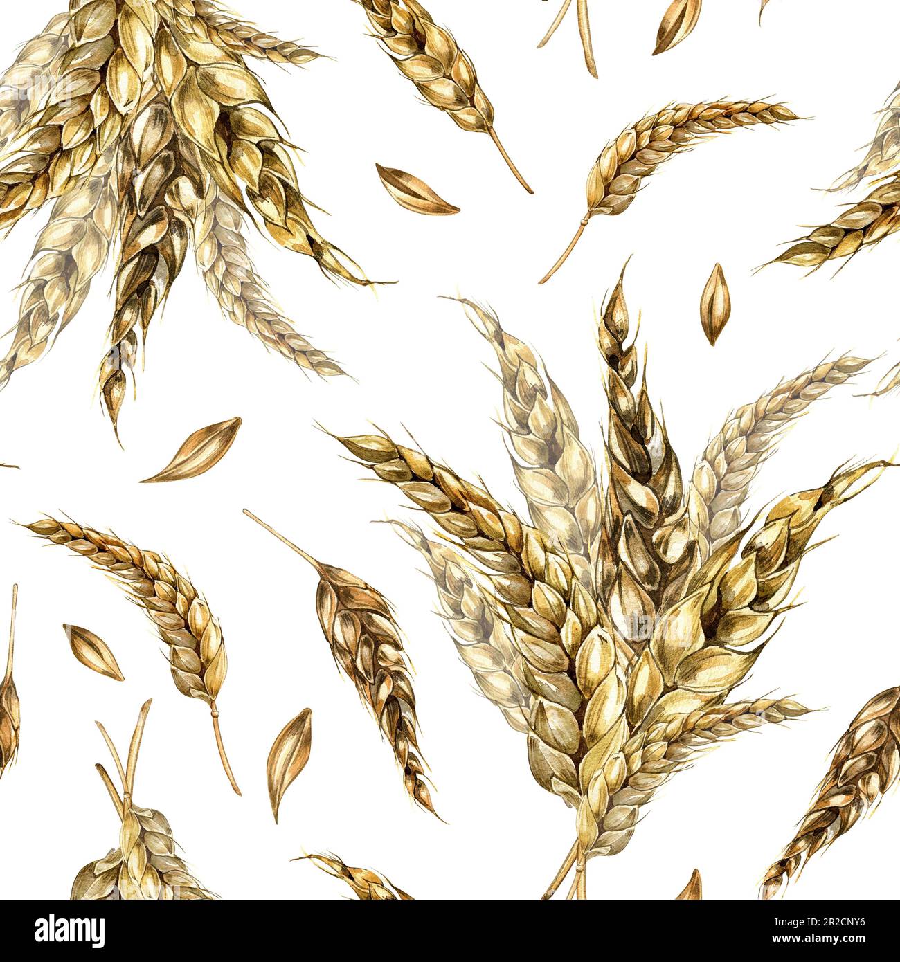 Wheat ear bunch watercolor seamless pattern isolated on white ...