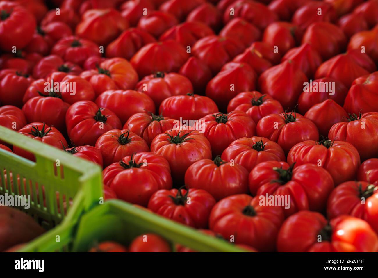 Heirloom tomato. Tradition market in Alcudia, Mallorca with fresh ...