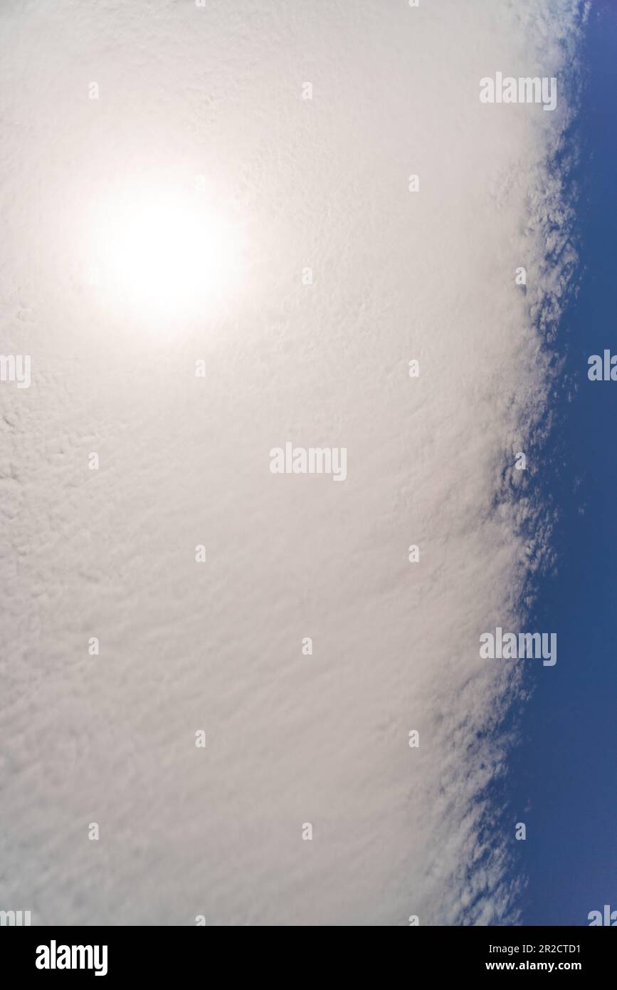 Fluffy clouds in the blue sky, they are arranged in a flat strip. The ...