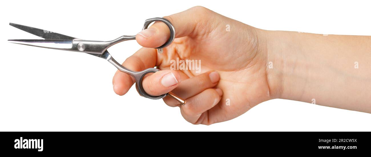 the hand of a Barber holding a scissors Stock Photo - Alamy