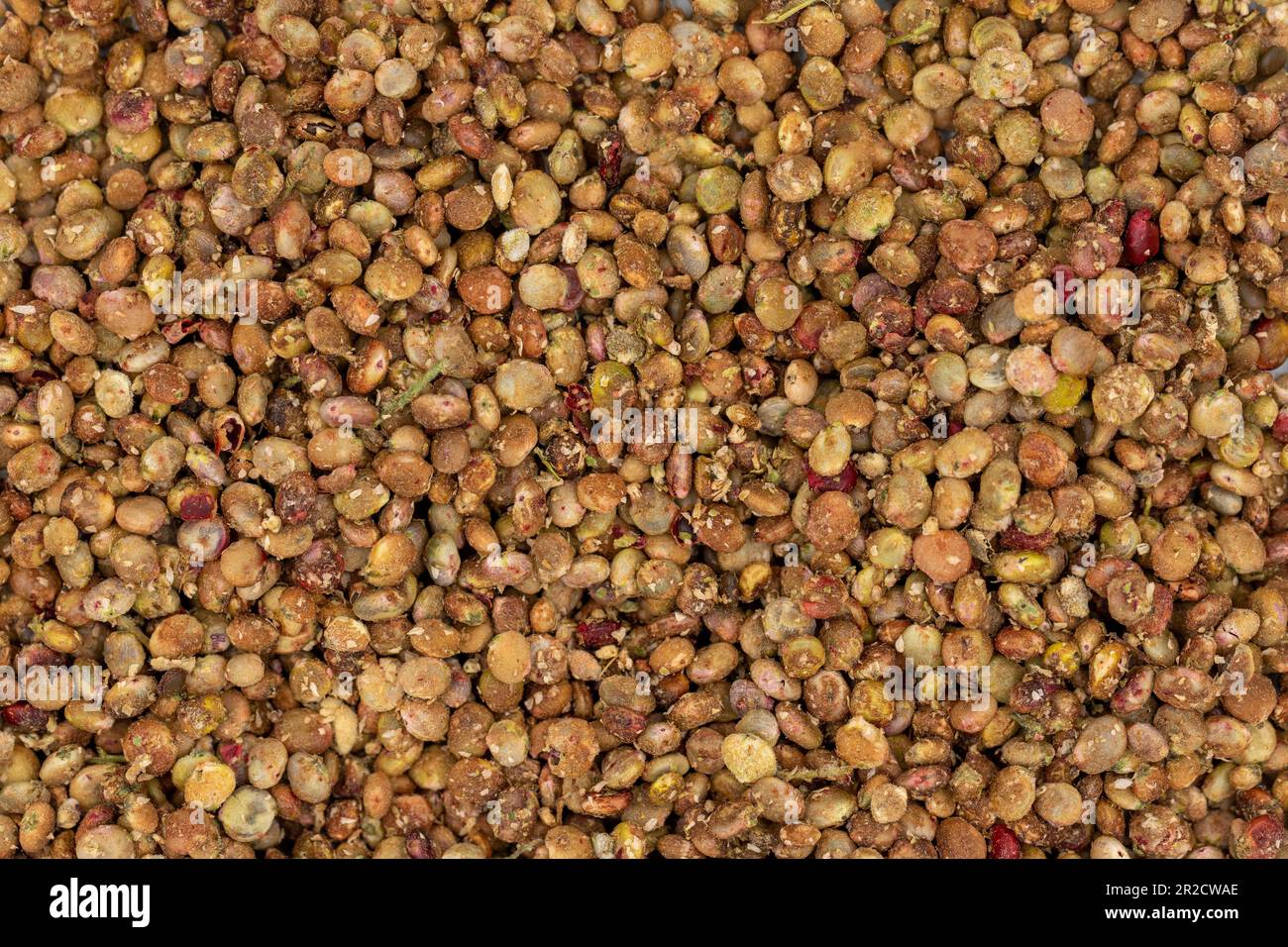 Sumac seeds. Dried sumac berries isolated on white background. Spices ...