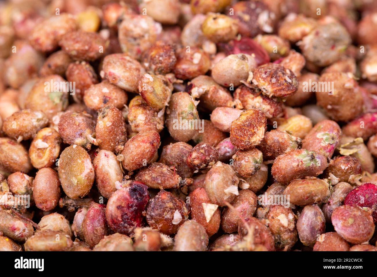 Sumac seeds. Dried sumac berries isolated on white background. Spices ...
