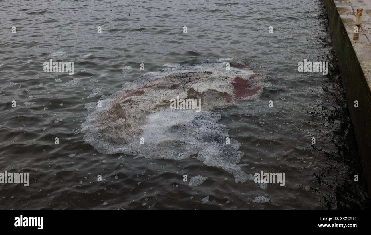 Dirty wave with mud foam. Dirty sea surf lines made of algae in the ...