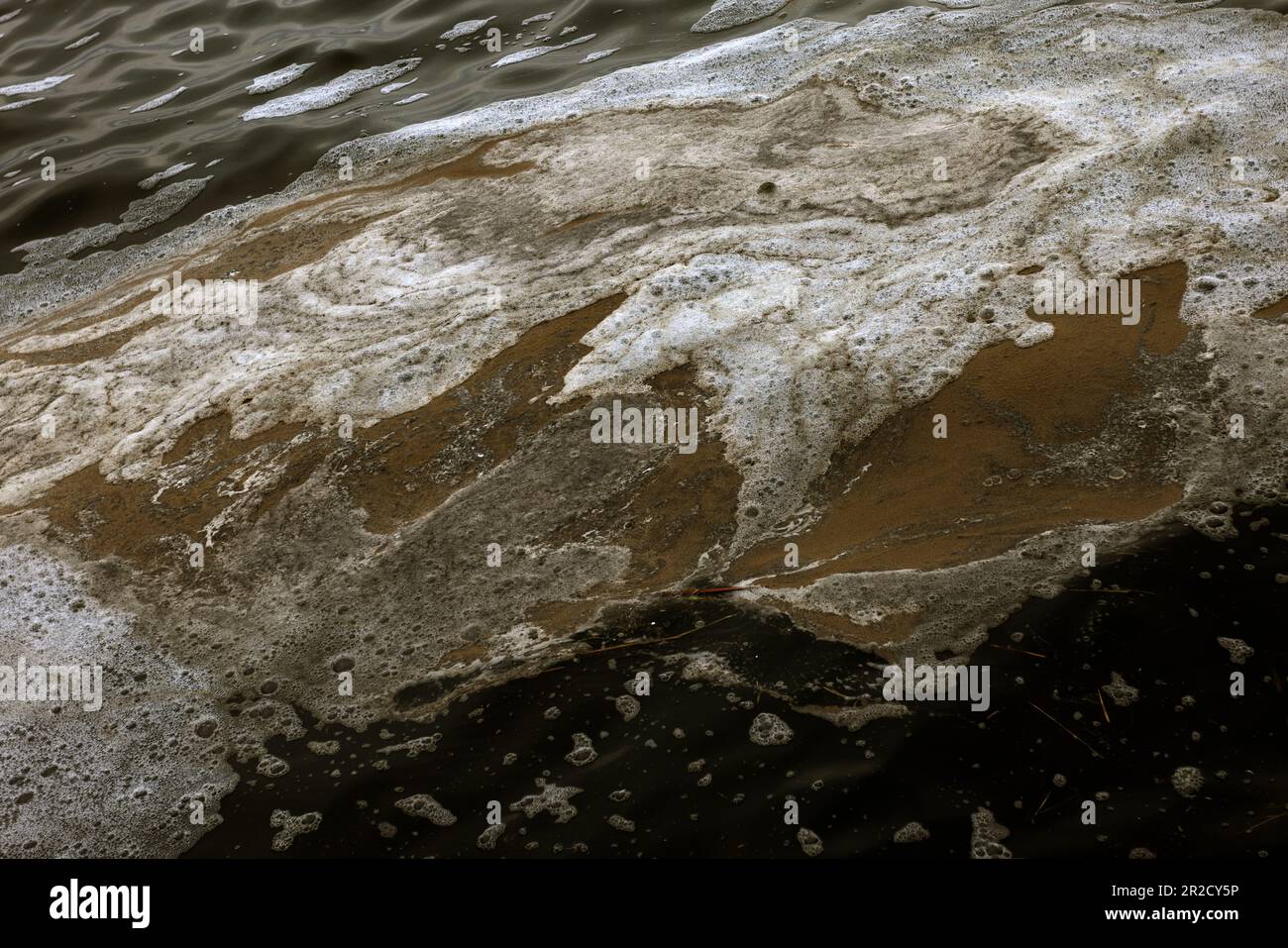 Dirty wave with mud foam. Dirty sea surf lines made of algae in the ...