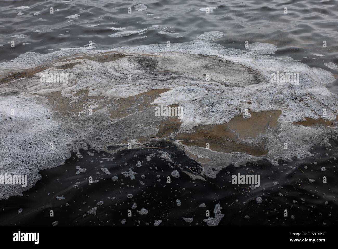 Dirty wave with mud foam. Dirty sea surf lines made of algae in the ...