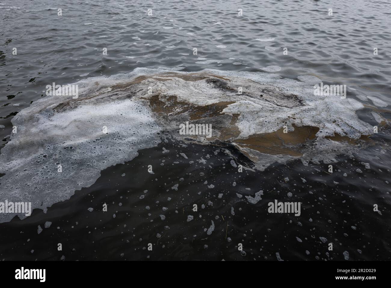 Dirty wave with mud foam. Dirty sea surf lines made of algae in the ...