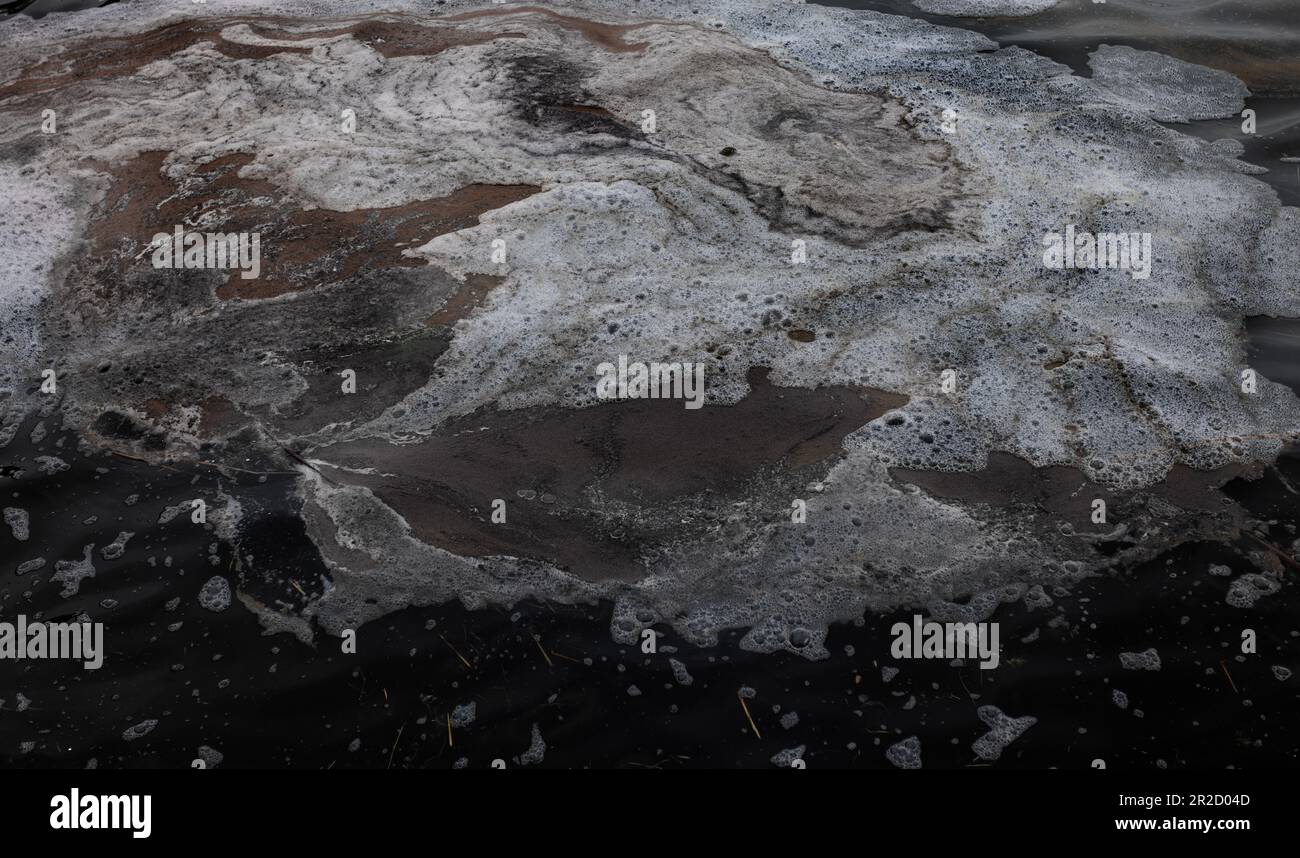 Dirty wave with mud foam. Dirty sea surf lines made of algae in the ...