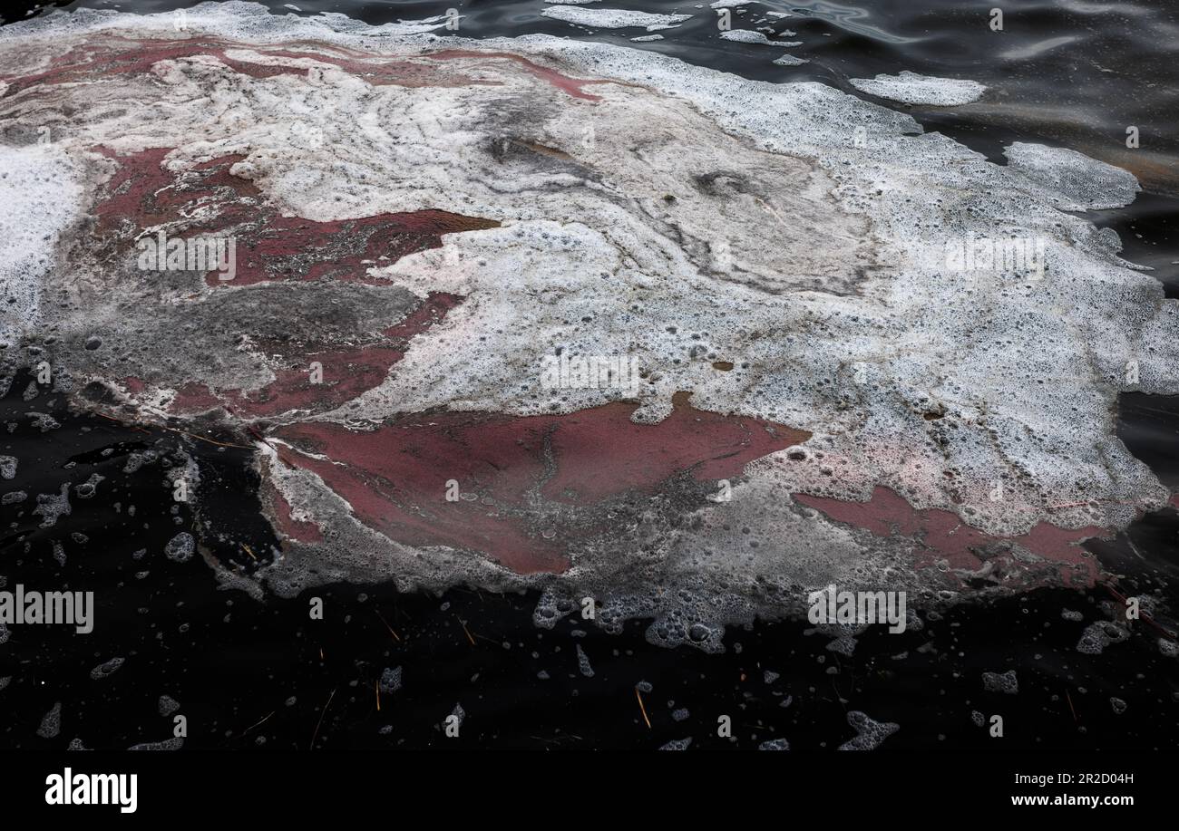 Dirty wave with mud foam. Dirty sea surf lines made of algae in the ...