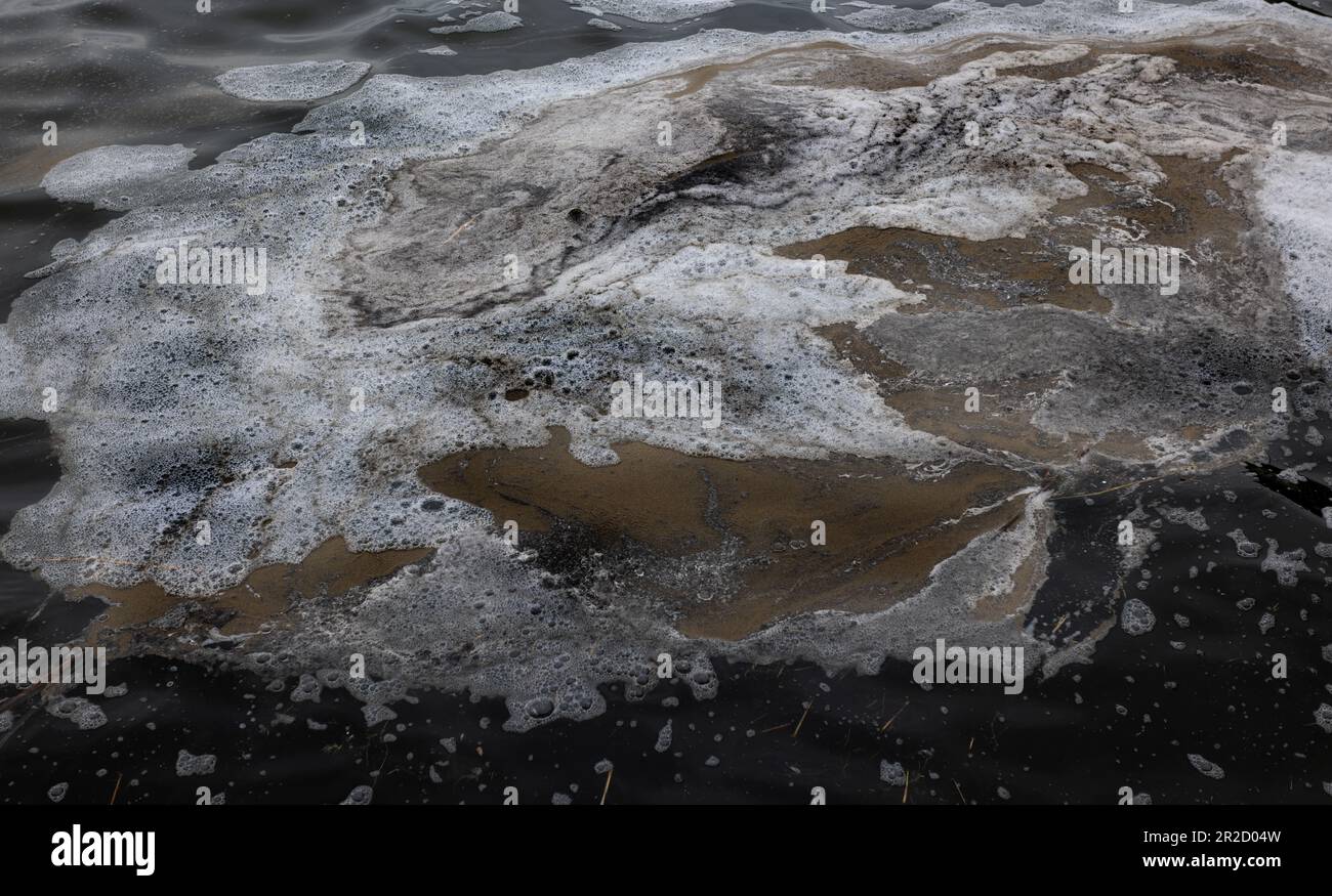 Dirty wave with mud foam. Dirty sea surf lines made of algae in the ...