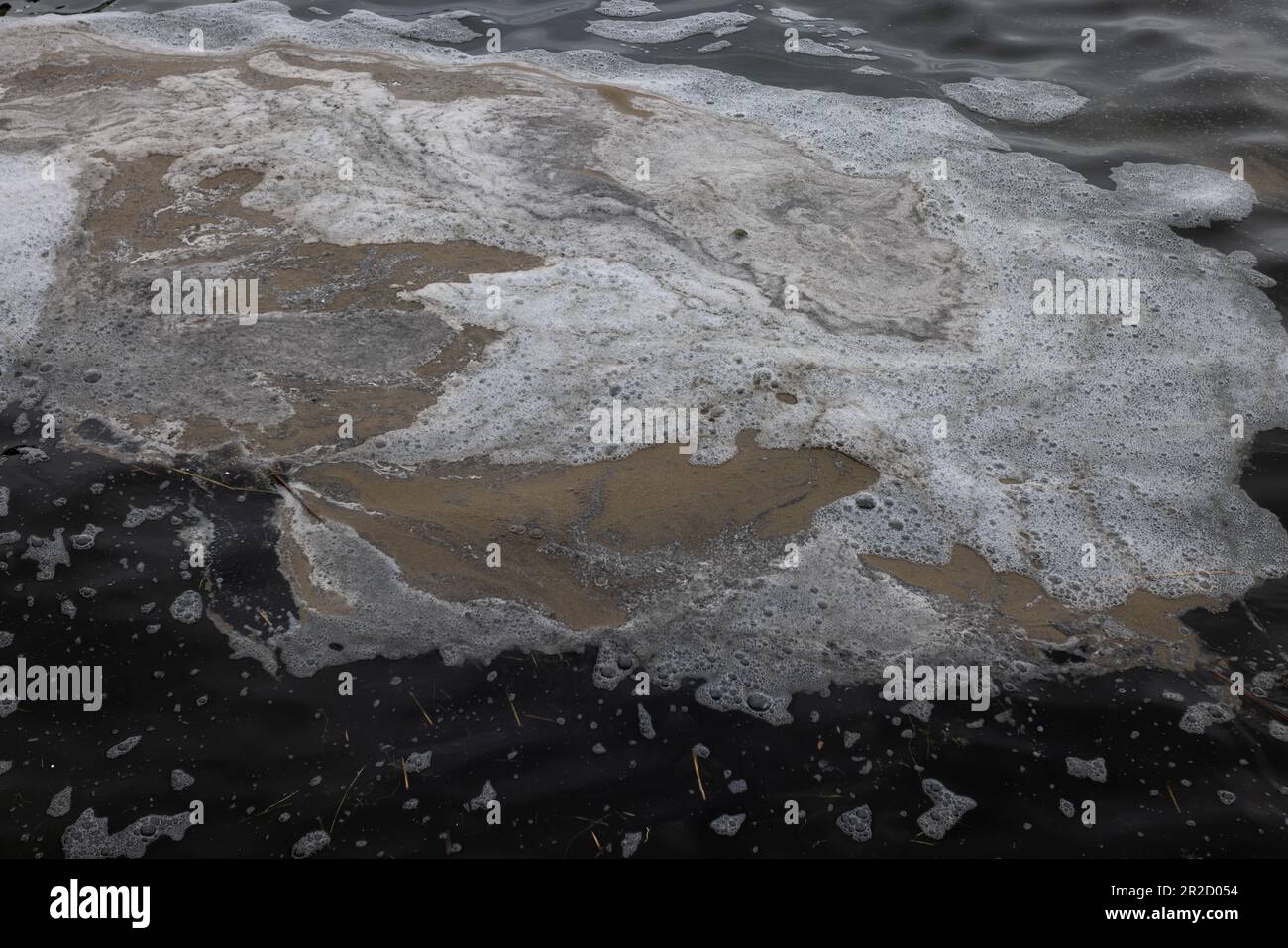 Dirty wave with mud foam. Dirty sea surf lines made of algae in the ...