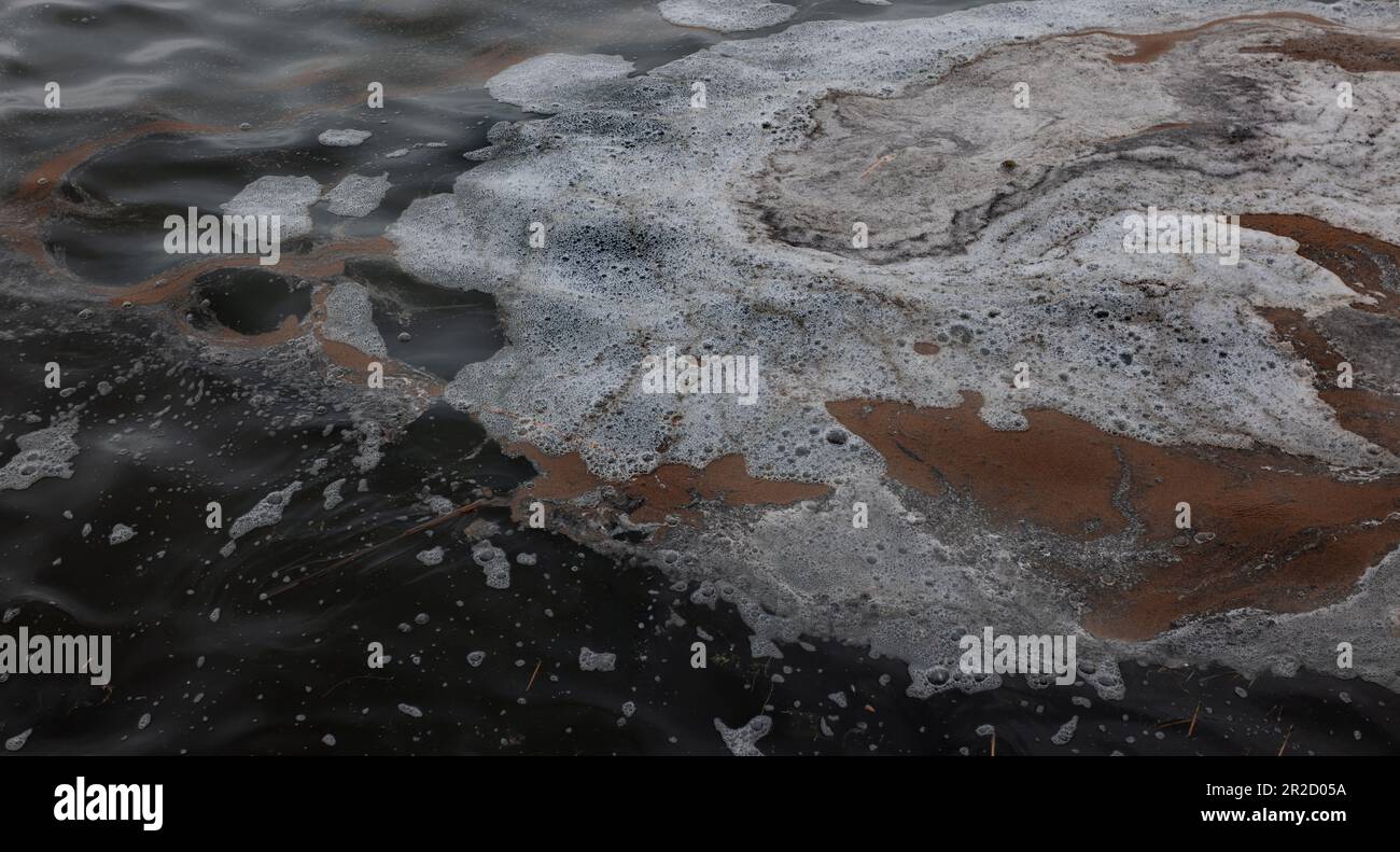 Dirty wave with mud foam. Dirty sea surf lines made of algae in the ...