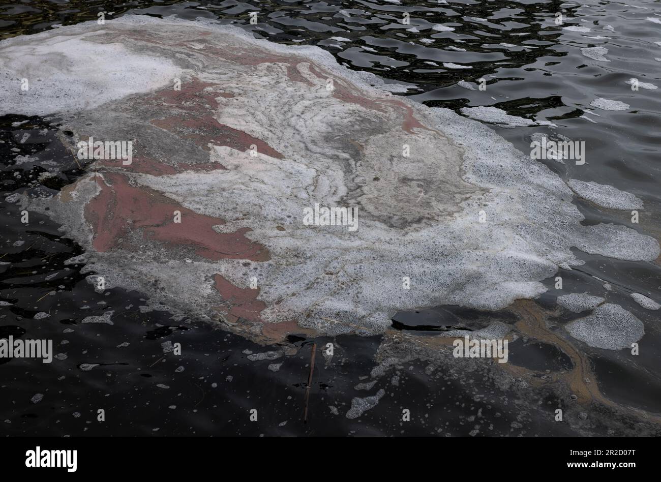 Dirty wave with mud foam. Dirty sea surf lines made of algae in the ...