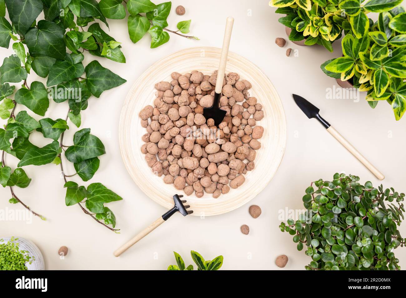 Gardening tools rake, spade and Hydroponic Clay Pebbles on white desk ...