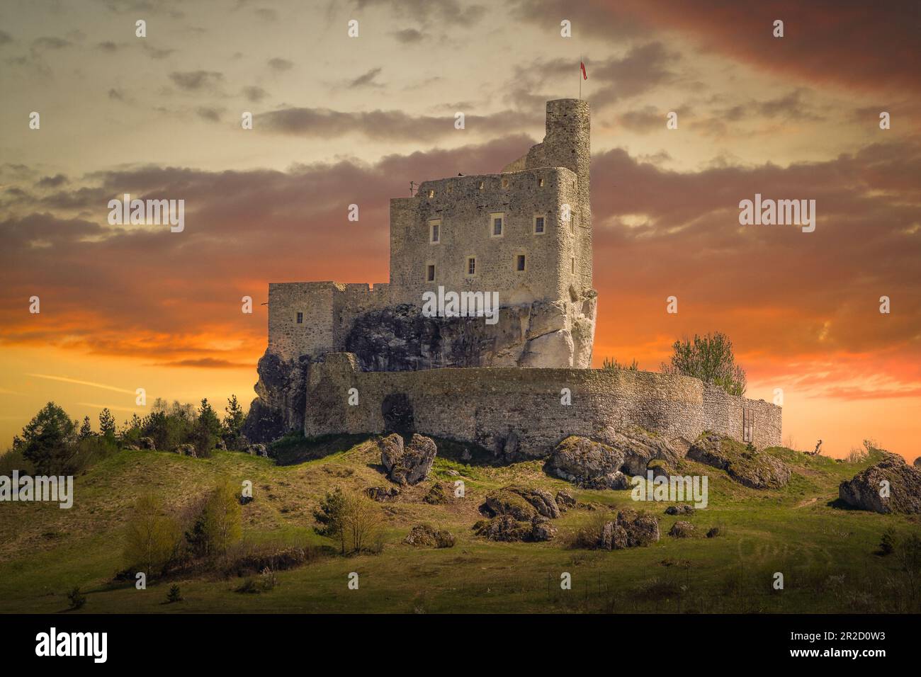 Ruins of a medieval castle in the village of Mirow, Poland Stock Photo ...