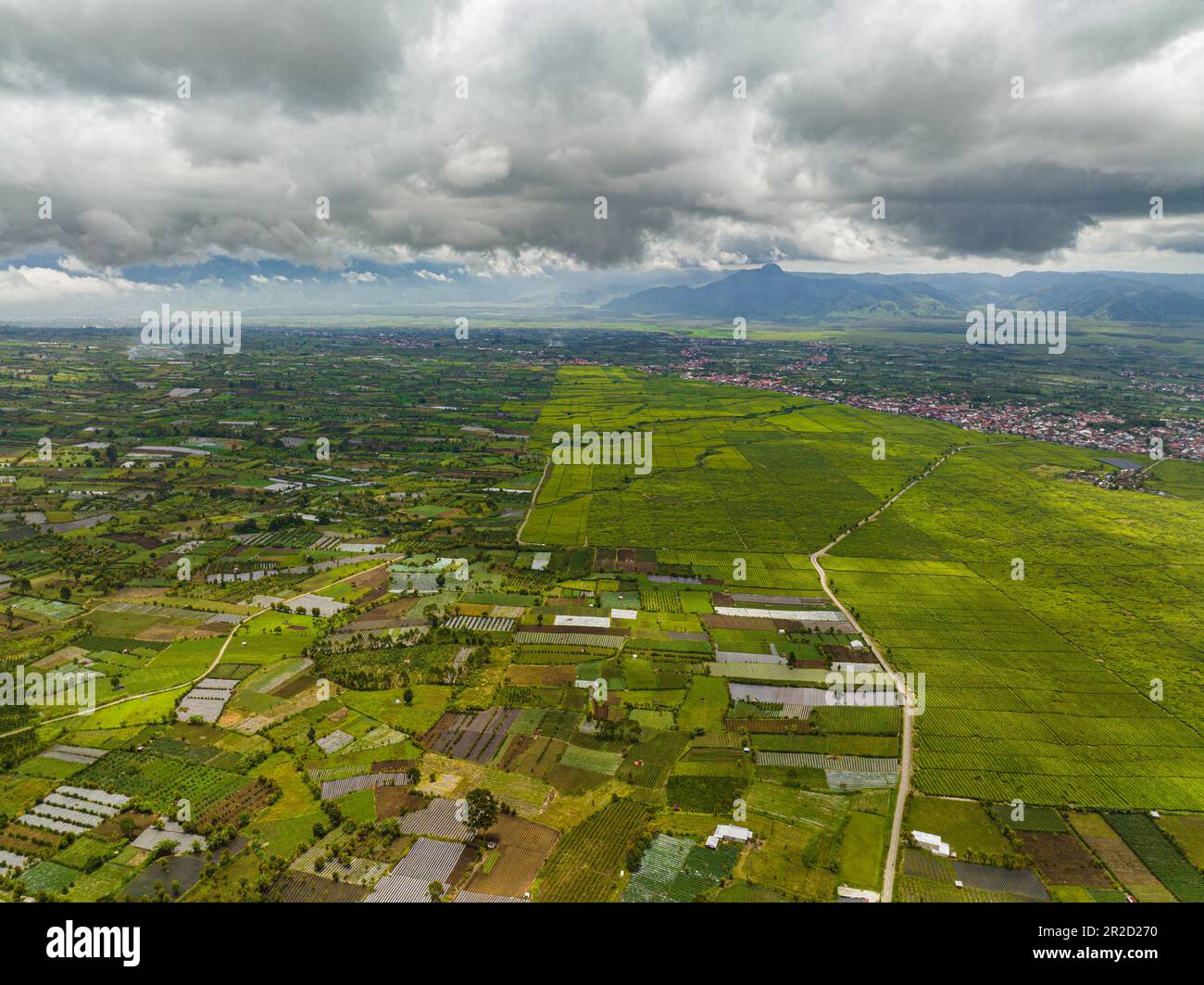 Top view of tea estates and farmland in Sumatra. Tea plantations. Kayu ...
