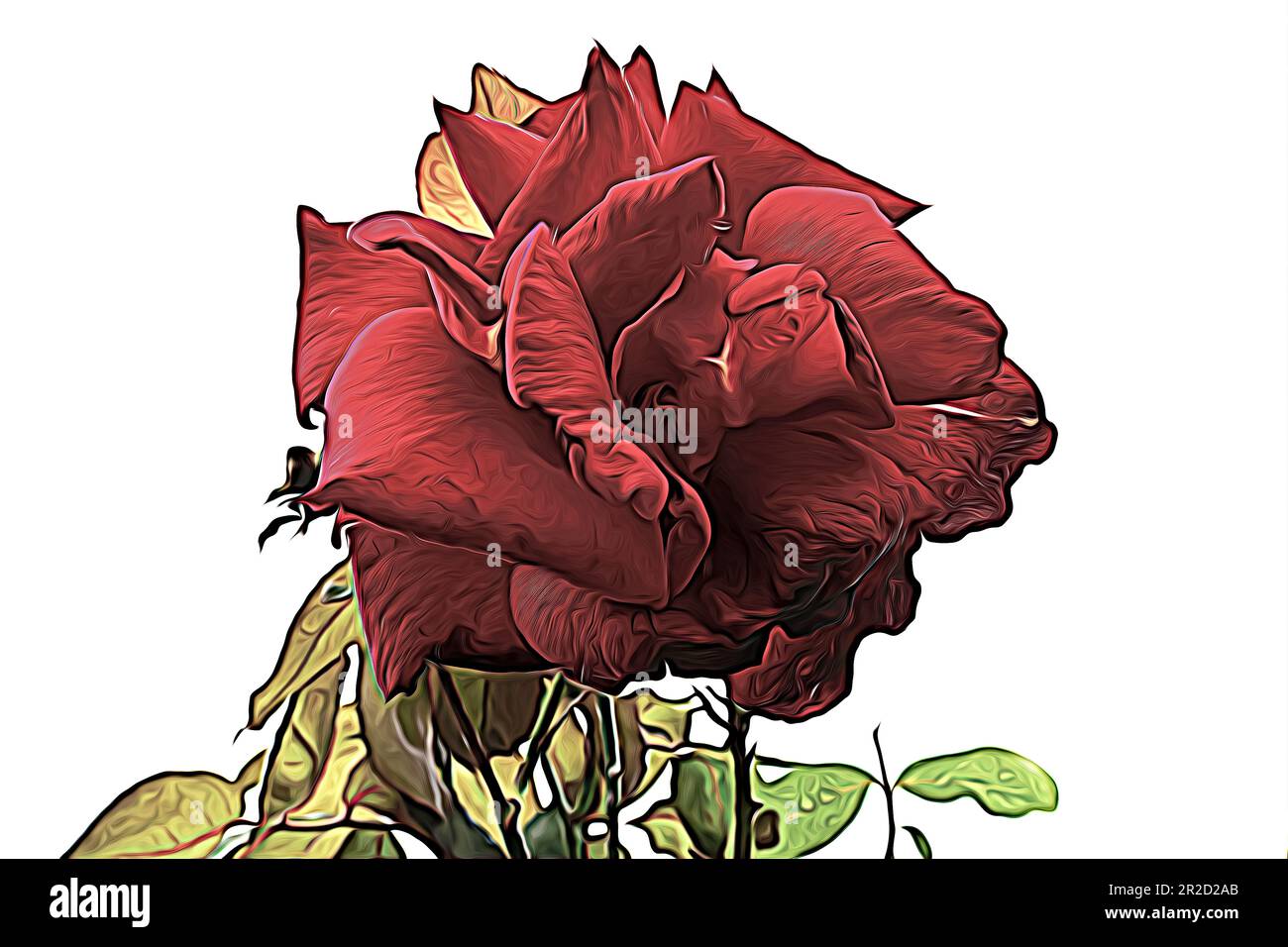 Floral red rose blooms in muted colors and interesting edits for fine ...