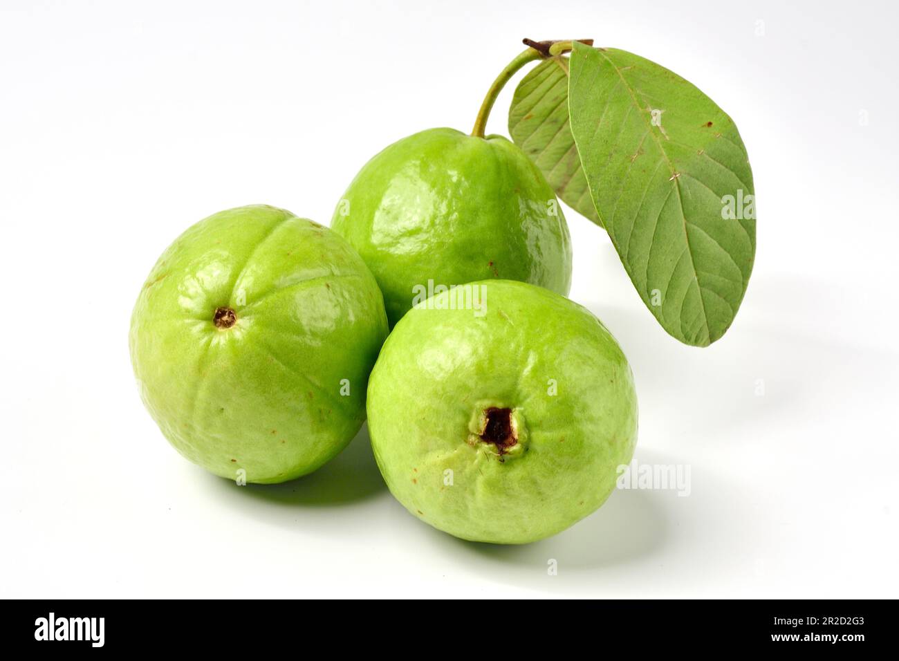 Pink guava fruits isolated on white background.Guava fruit with leaf ...