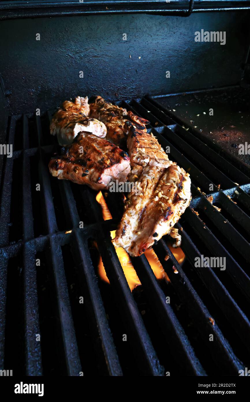 Pork fillets cooking on a bbq outside on a nice day. Art for arts sake ...